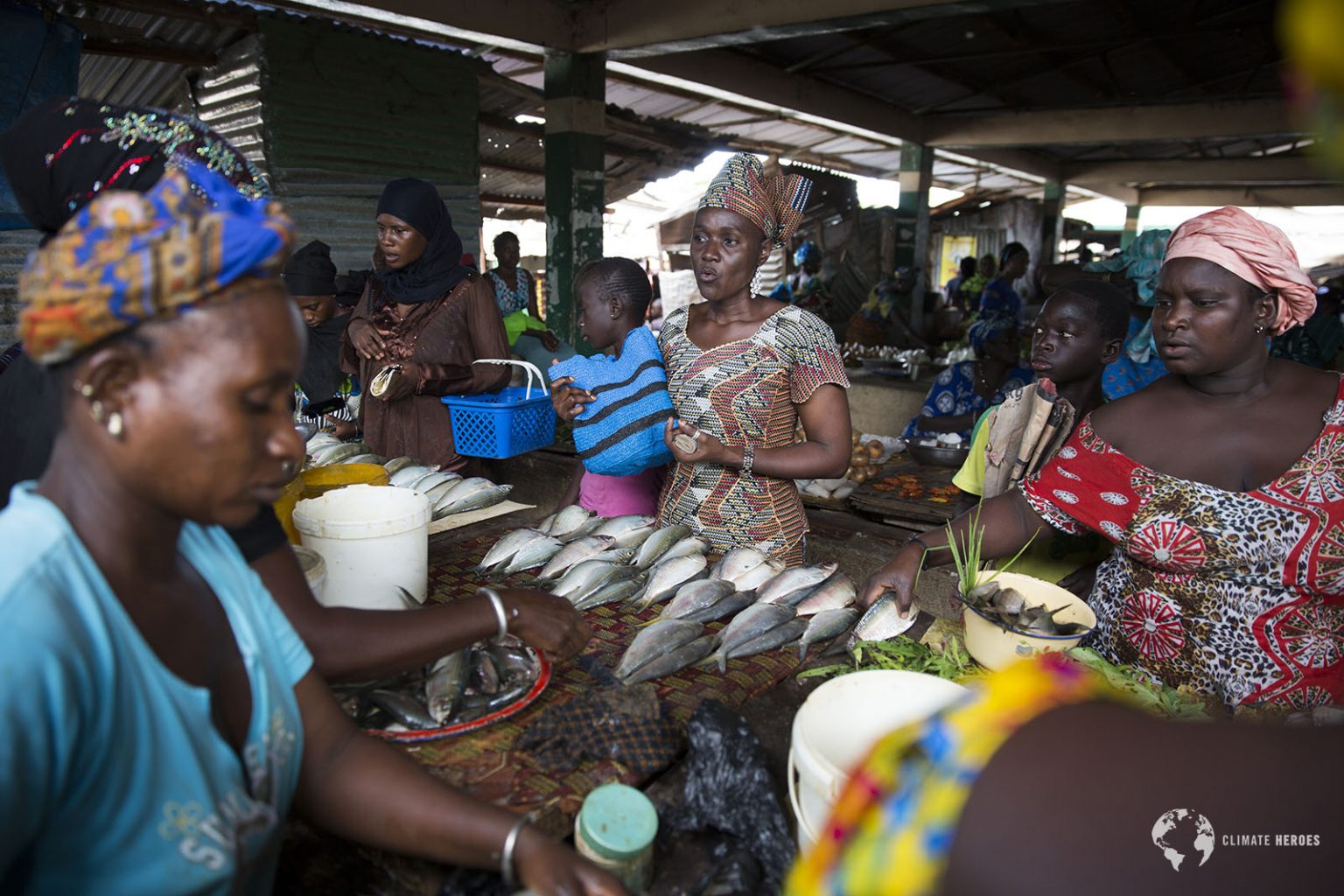 Isatou Ceesay: Turning Waste to Wealth – Climate Heroes